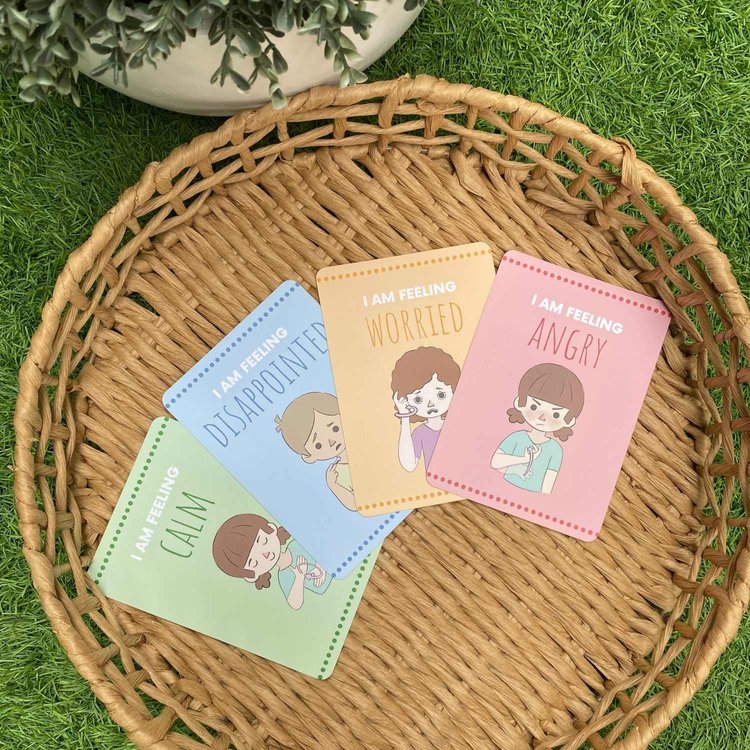 My Zones of Feelings Flashcards | Auslan Edition – The Sensory ...