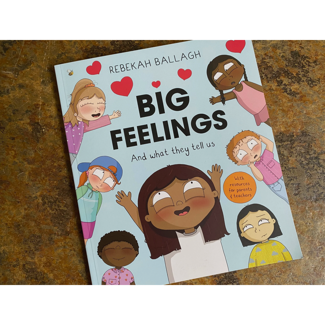Big Feelings | And what they tell us Book – The Sensory Specialist PTY LTD