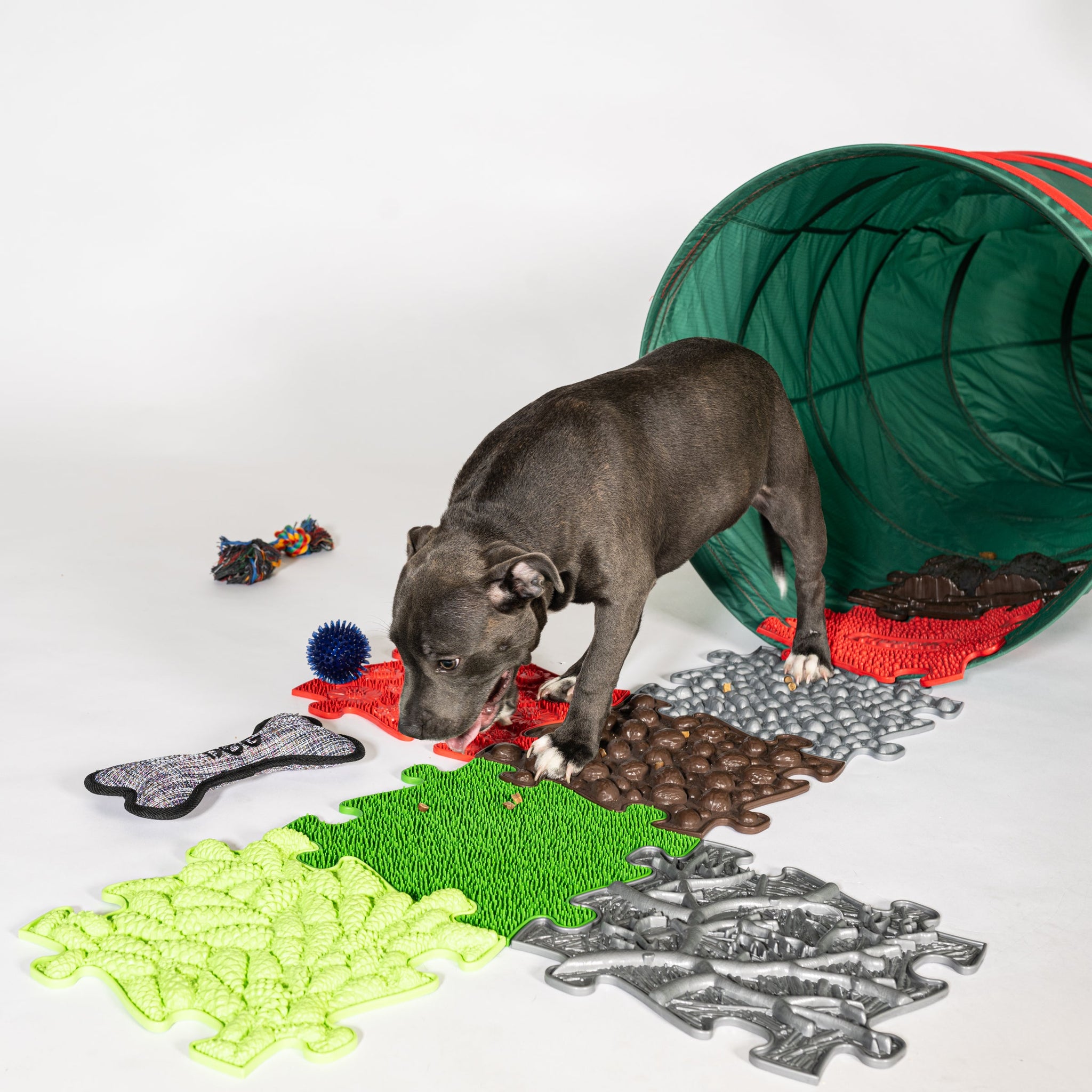 Pets Textured Set – The Sensory Specialist PTY LTD