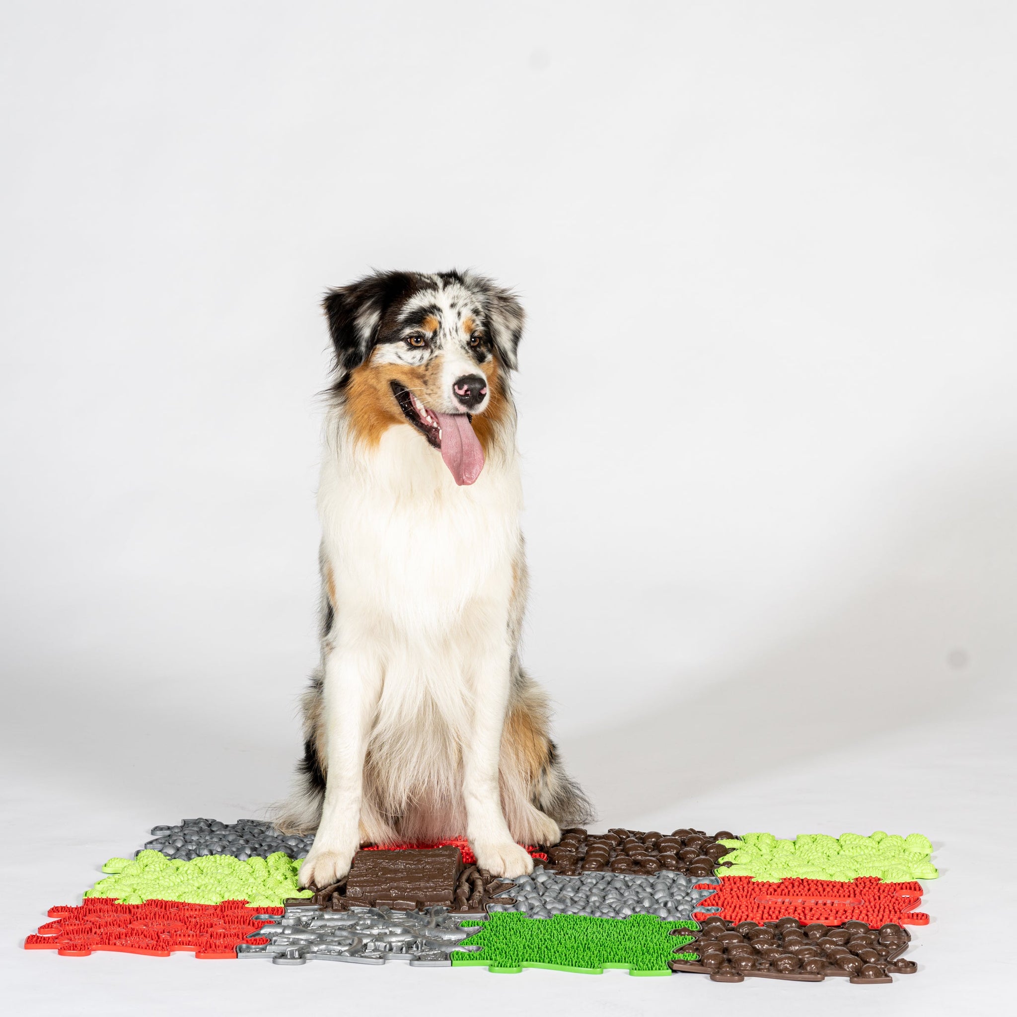 Pets Textured Set – The Sensory Specialist PTY LTD